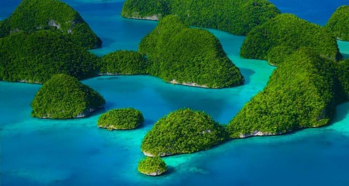 Le sanctuaire marin de Palaos, un archipel de rêve ! | OpenMinded